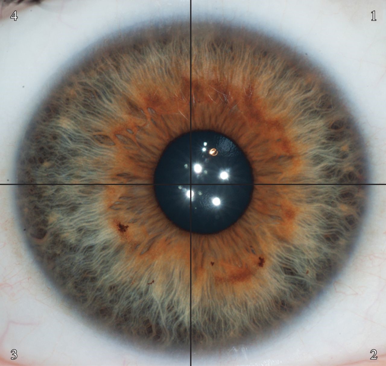 How Biometrics Can Be Used for Logical Access Entry – Part 2 ...